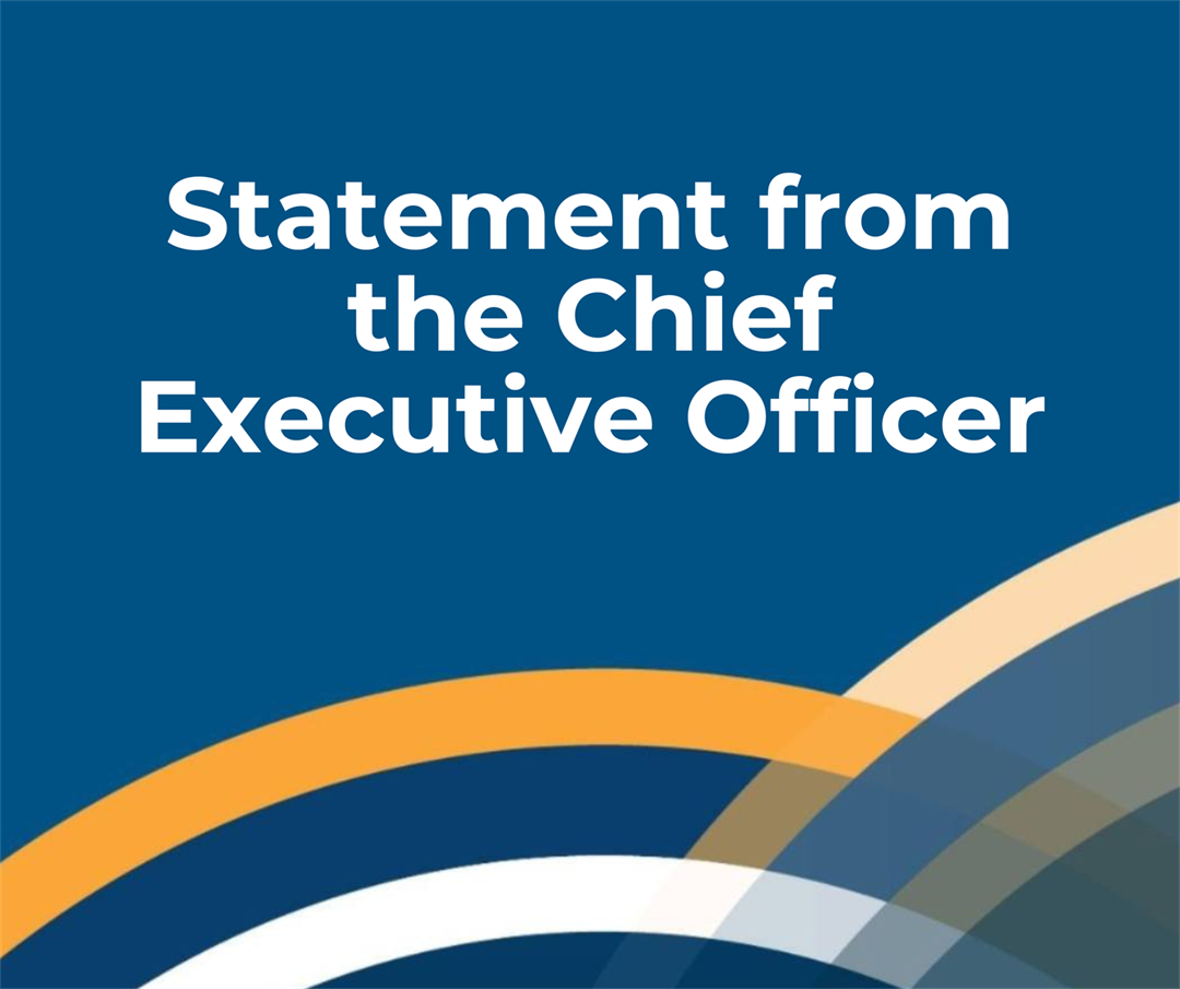 Statement from the Chief Executive Officer Moyne